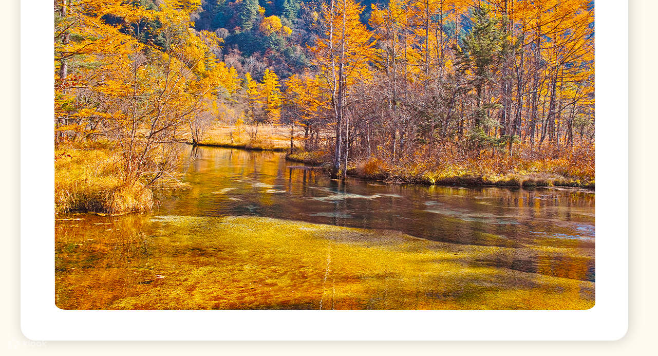 [Nagoya Kamikochi Hiking Tour] One-Day Nature Forest Hiking Tour of ...